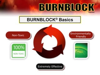 Burn Block China | PDF