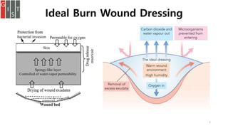 Burn Dressings | PPTX