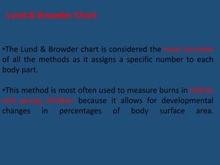 Dressings in Burn Wound, skin graftin, artificial skin and cadaveric ...