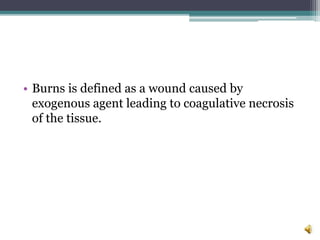 Burn drneerajjain with audio | PPTX