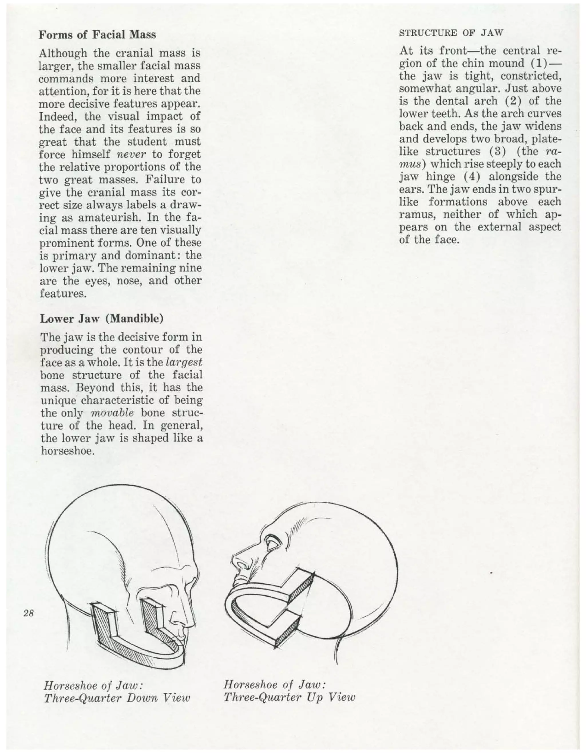Burne hogarth-drawing-the-human-head | PDF