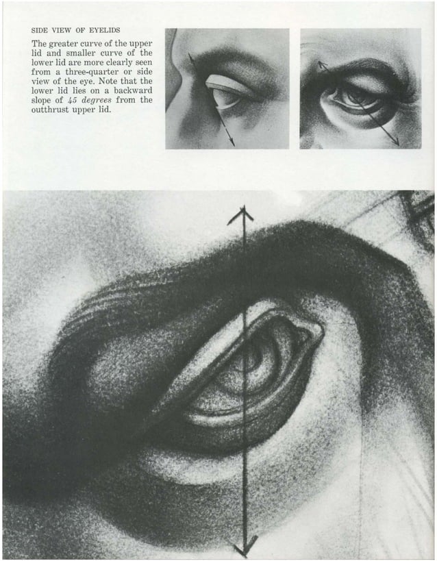 Burne hogarth-drawing-the-human-head | PDF