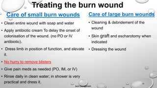 burn eyasu.ppt