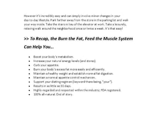 Burn Fat Program | PDF
