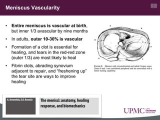 Factors Affecting Meniscus Tear Healing and Prognosis - AOSSM Lecture ...