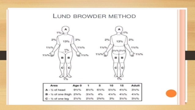 Burn in children | PPTX | First Aid | Injuries