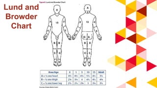 Burn injuries | PPTX