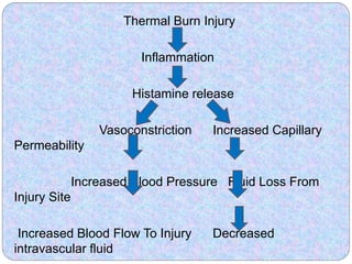 Burn injury | PPTX