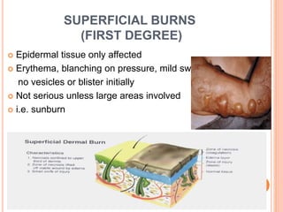 Burn lecture, burn management and burn ppt | PPT