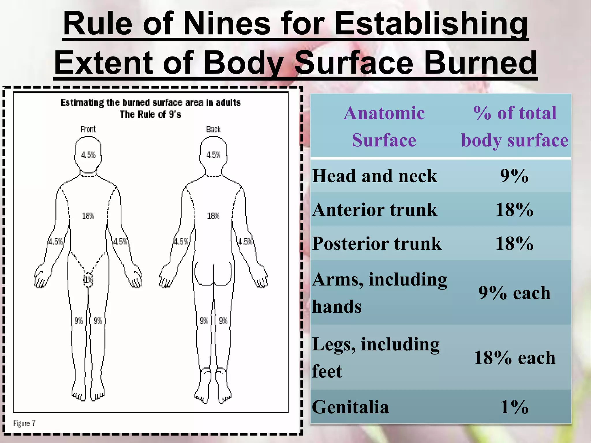 Burn management and plastic surgeries ppt copy | PPTX