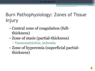 Burn management drneerajjain withaudio | PPT