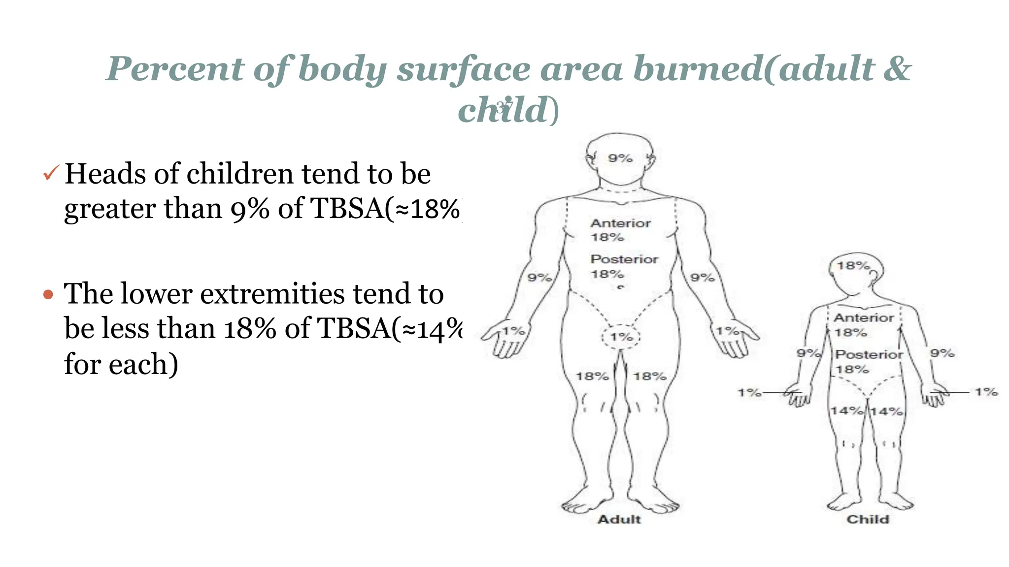 the BURN( new) (1).pptx for nursing student | PPTX