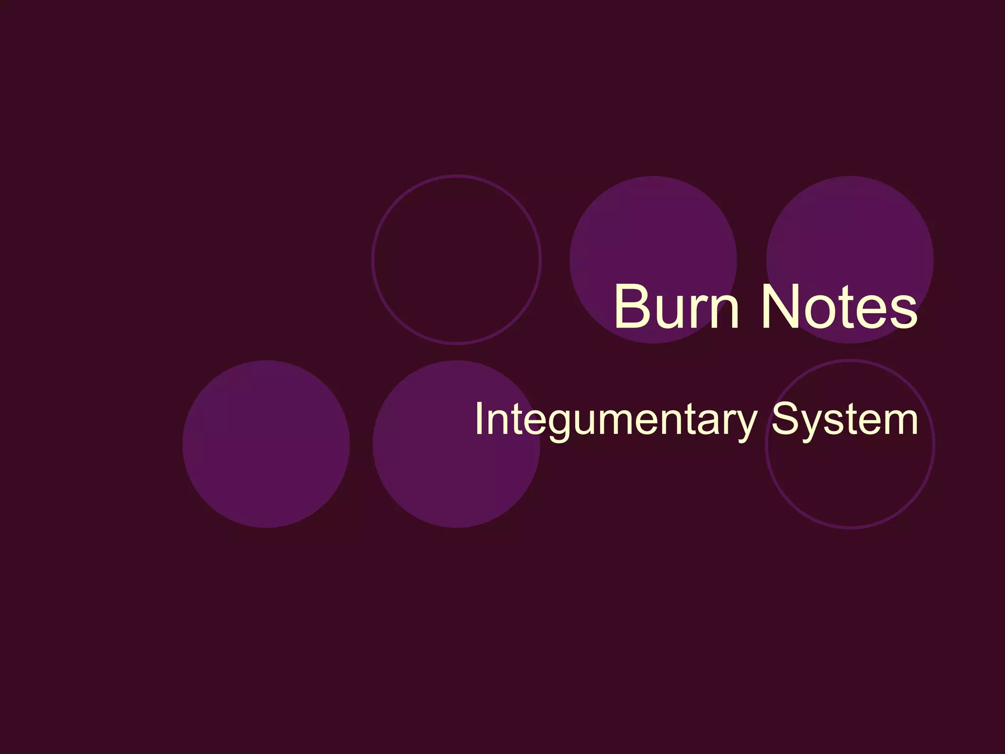 Burn Notes | PPT