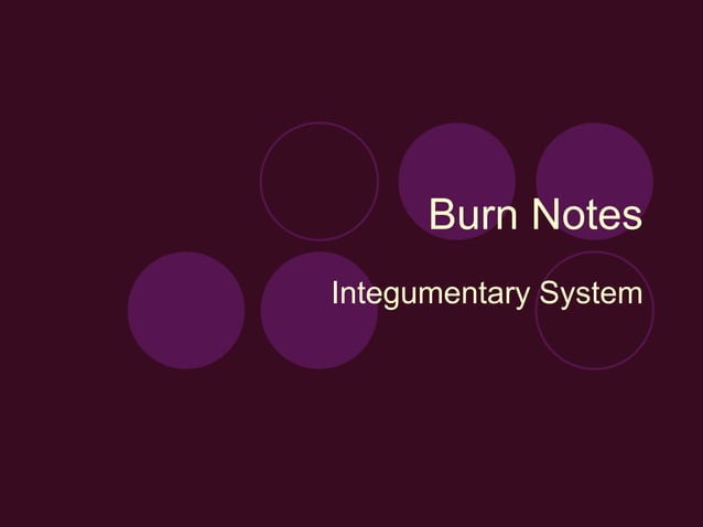 Burn Notes | PPT