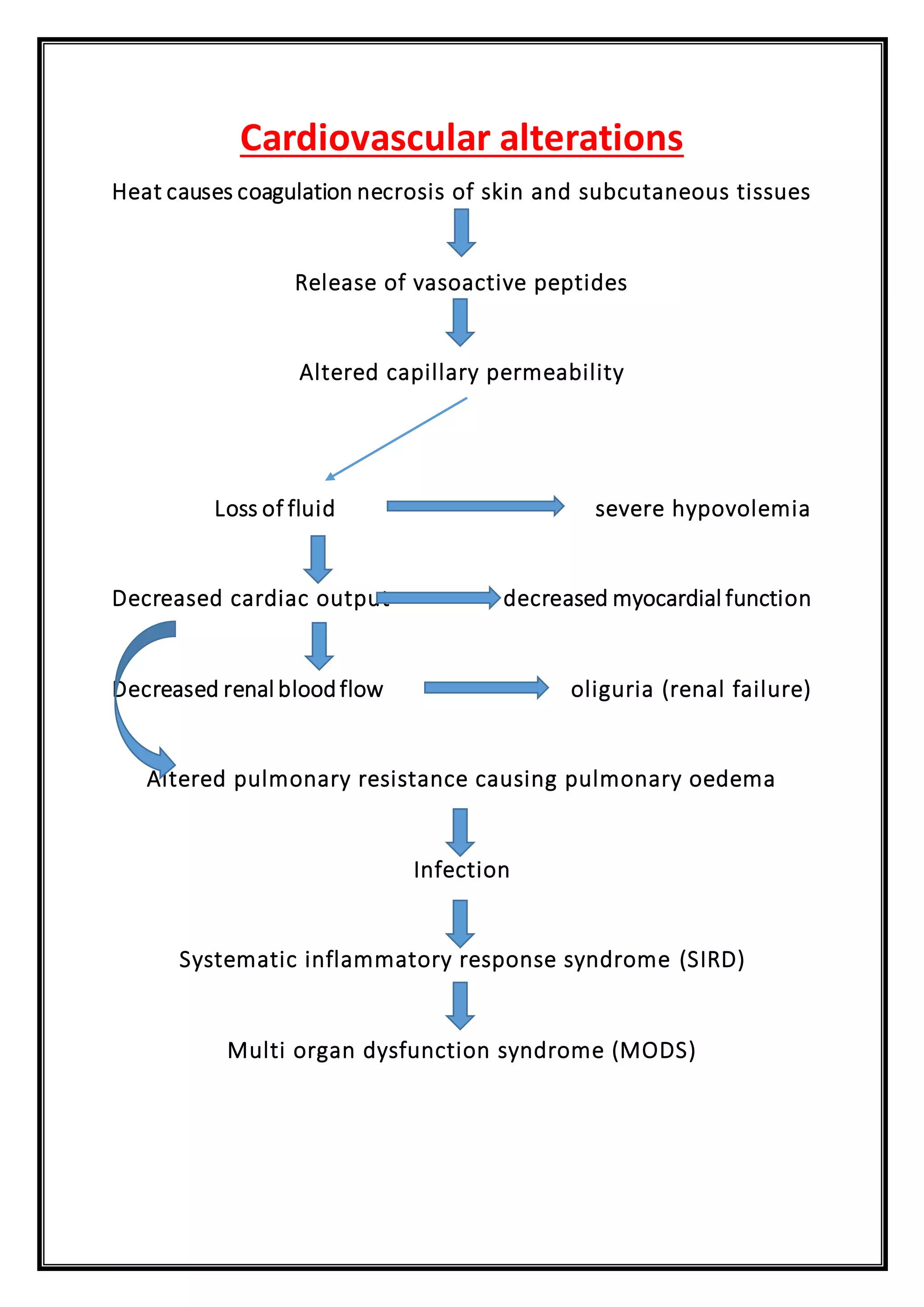 pathophysiology of burn | PDF