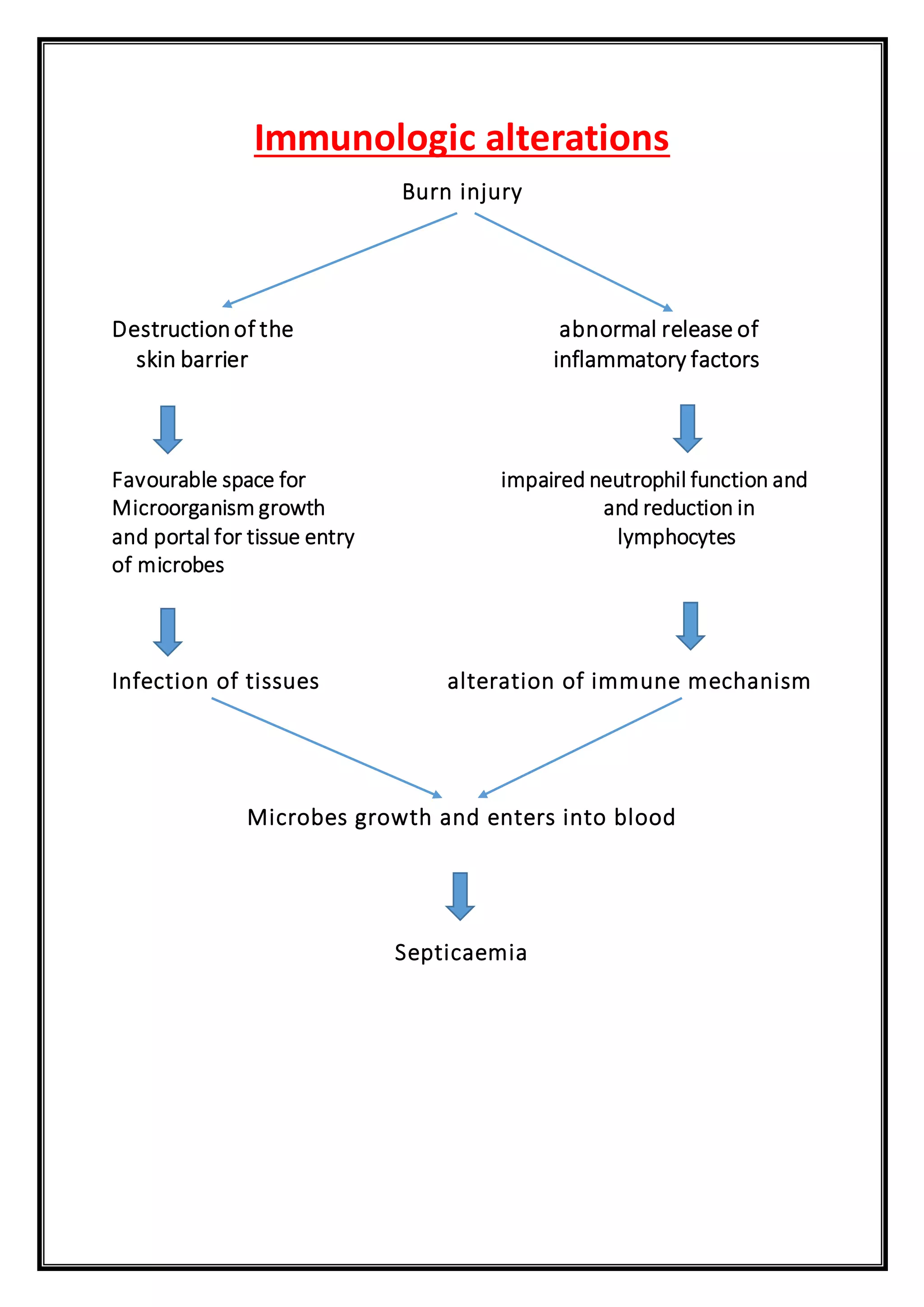 pathophysiology of burn | DOCX
