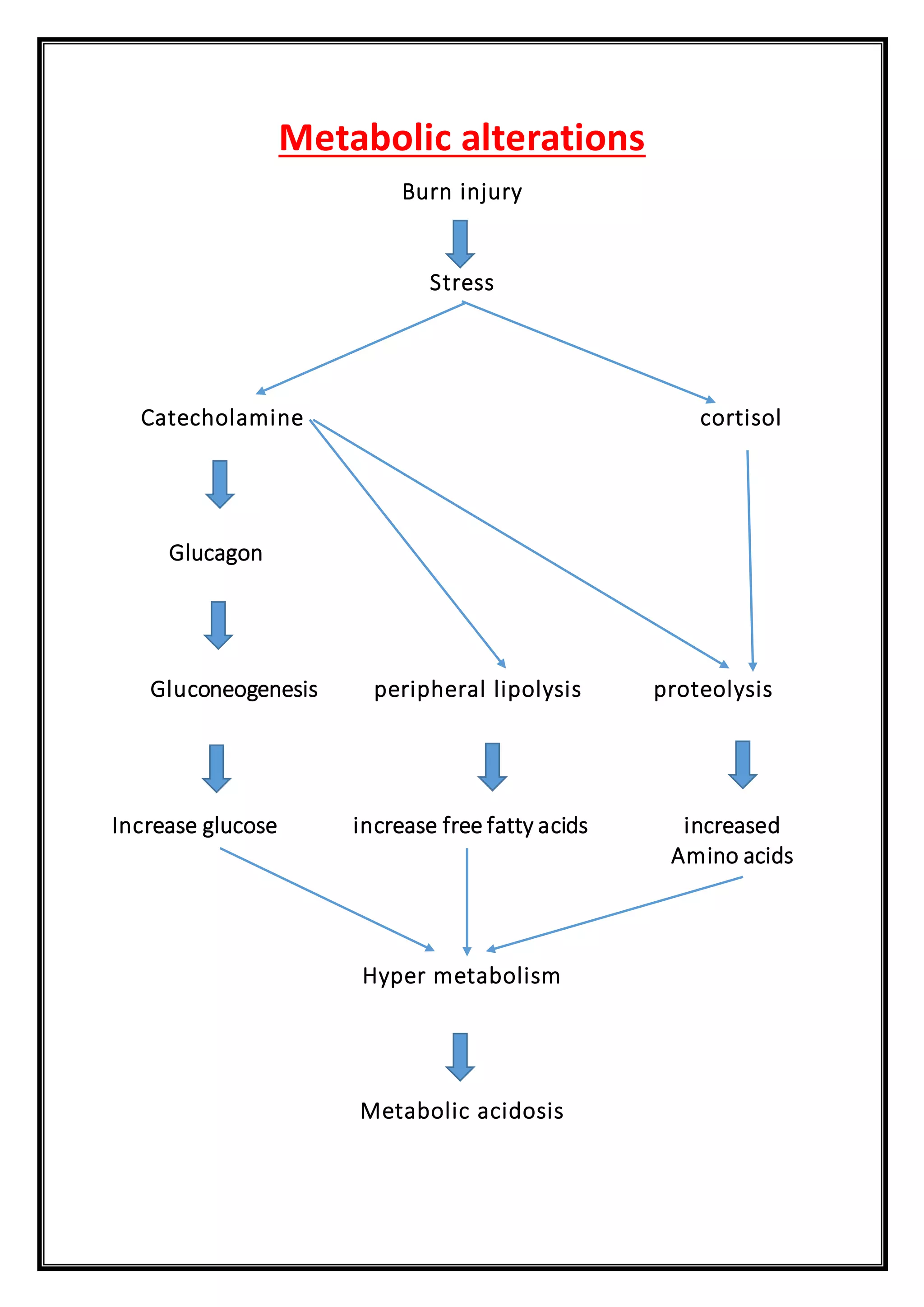 pathophysiology of burn | DOCX