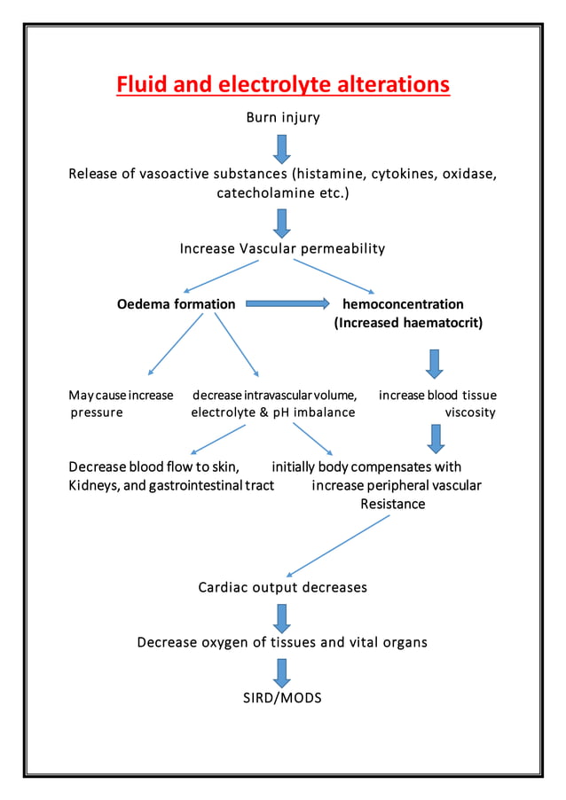 pathophysiology of burn | DOCX