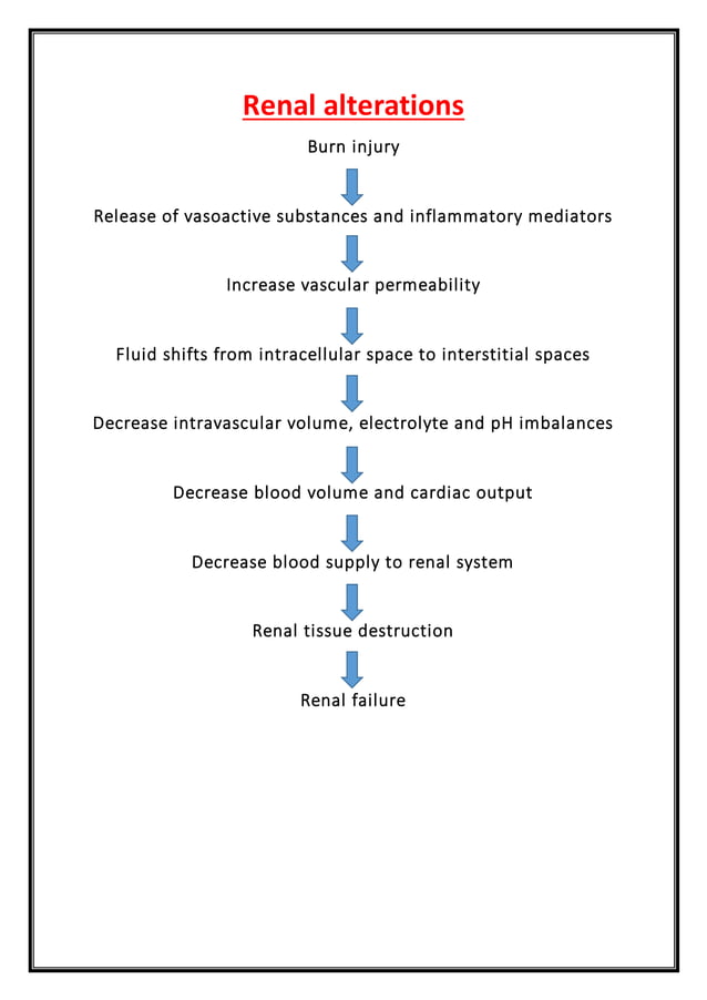 pathophysiology of burn | DOCX
