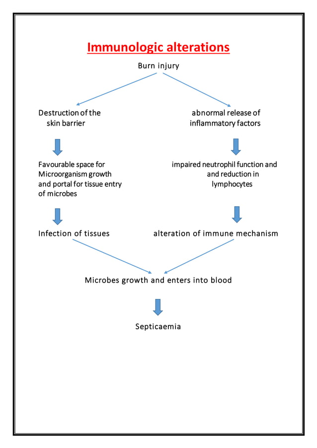 pathophysiology of burn | DOCX