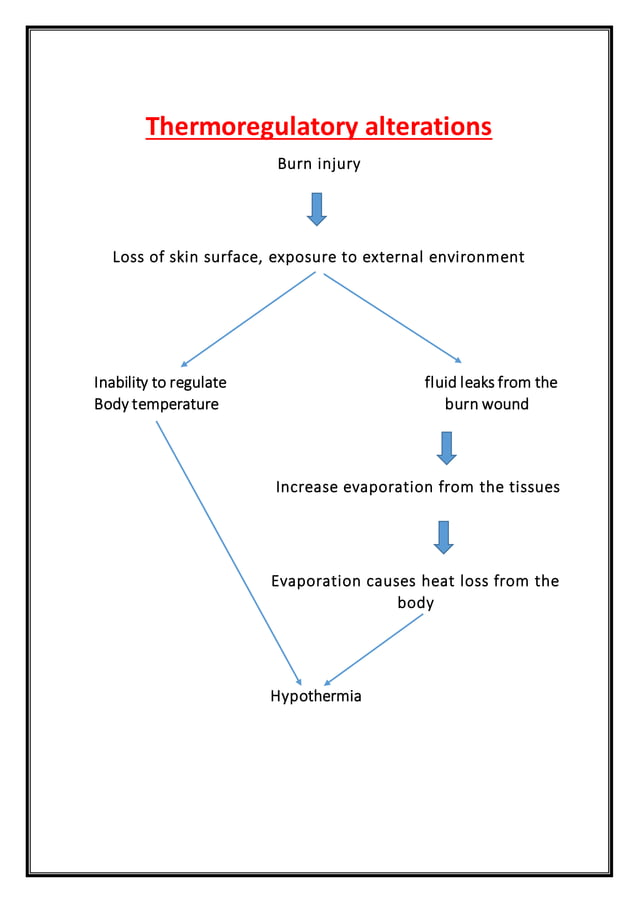 pathophysiology of burn | DOCX