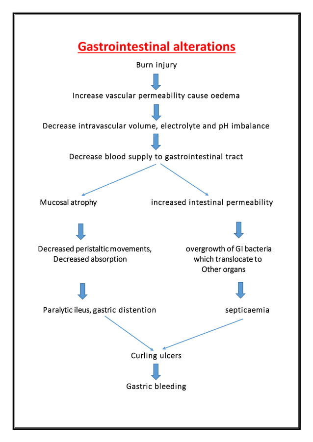 pathophysiology of burn | DOCX