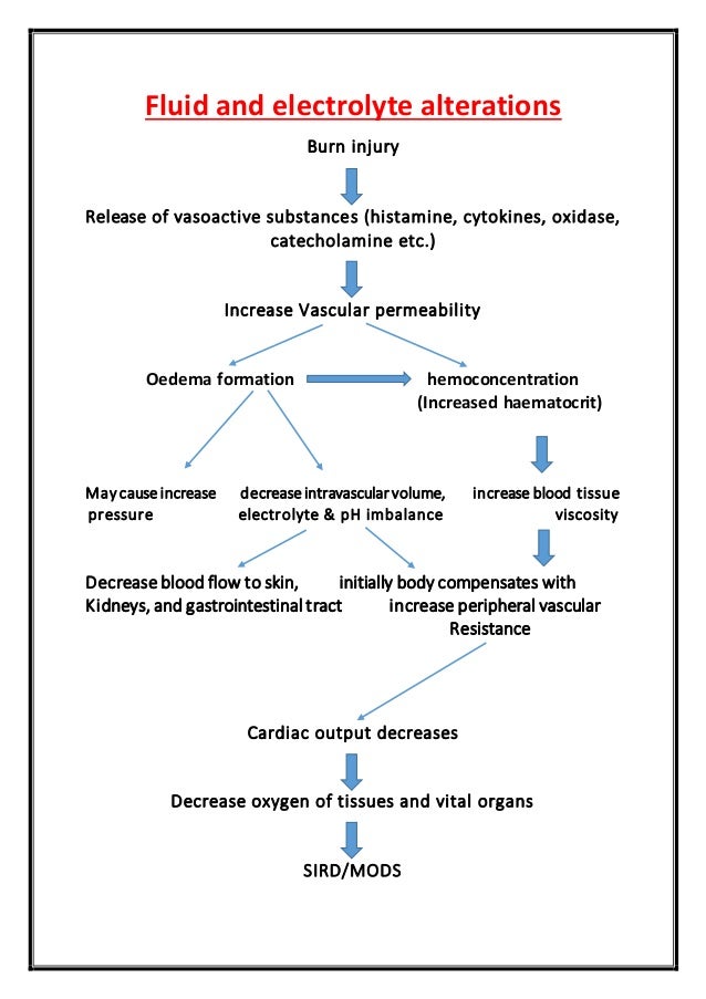 pathophysiology of burn