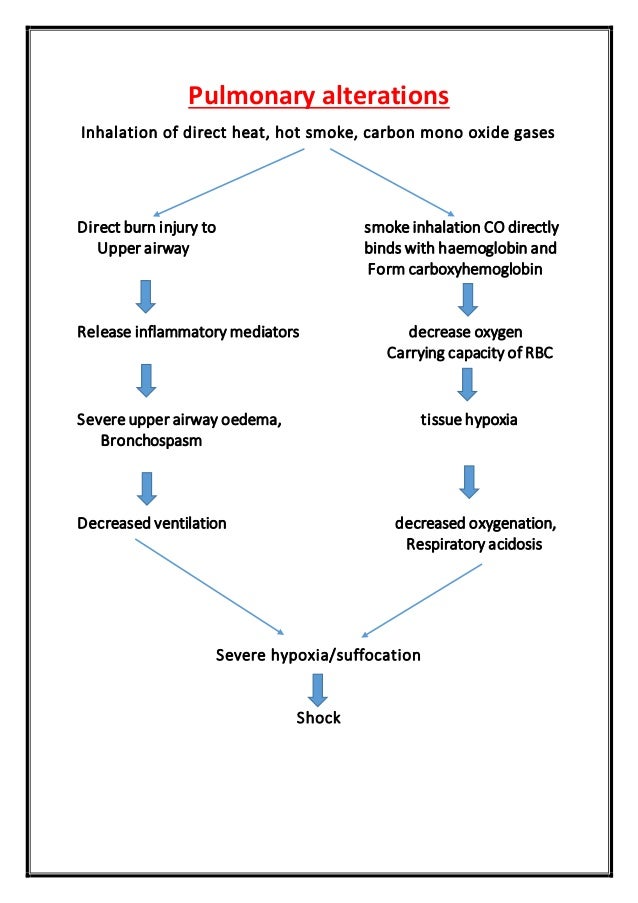 pathophysiology of burn