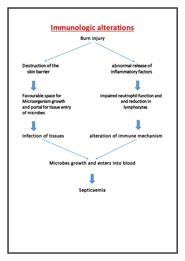 pathophysiology of burn