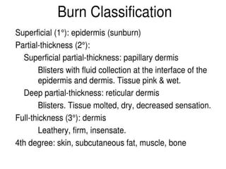 BURN PPT.pptx | First Aid | Injuries