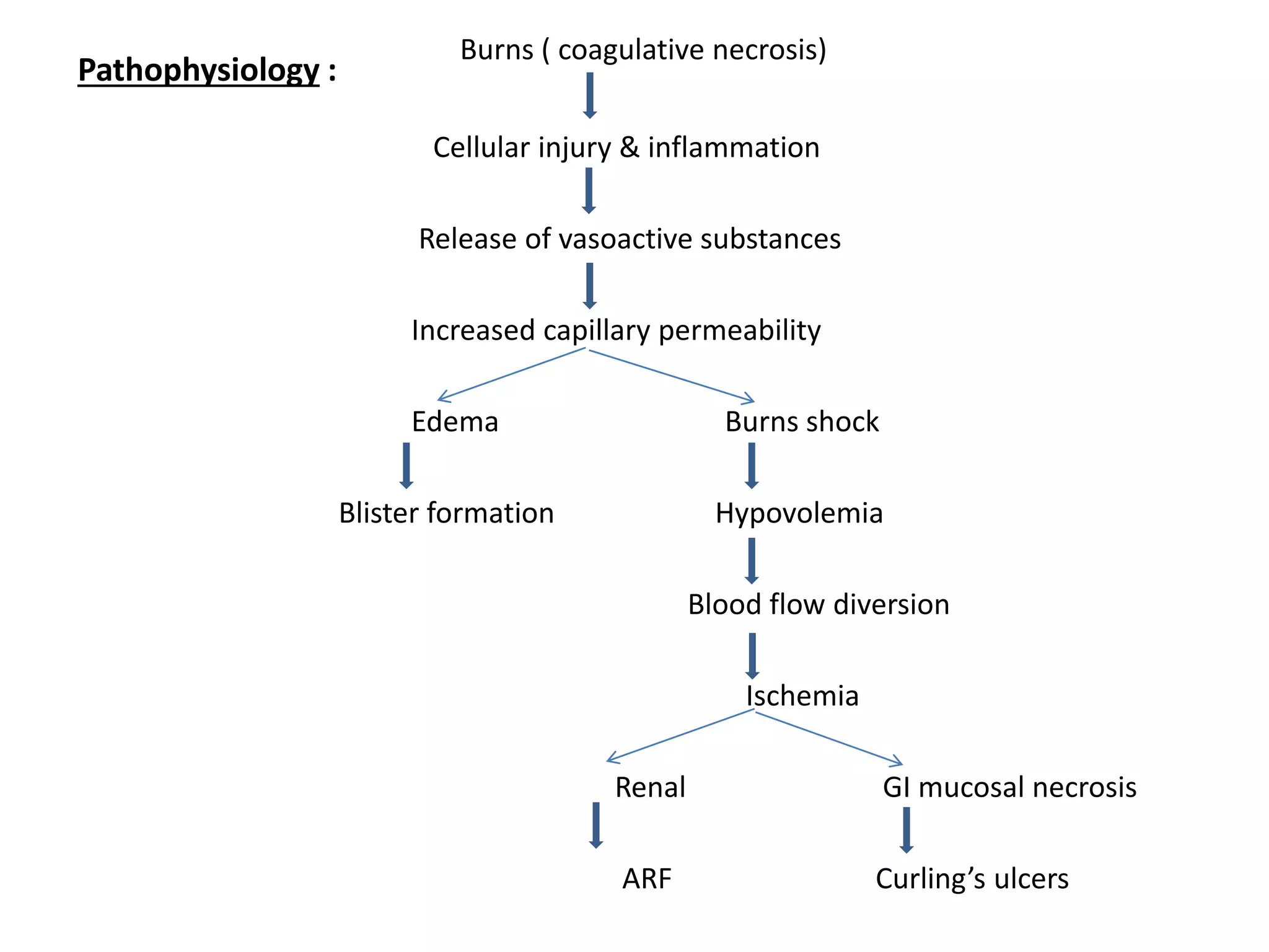 Burn ppt Dr Neha Jadhav | PPTX