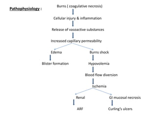 Burn ppt Dr Neha Jadhav | PPTX