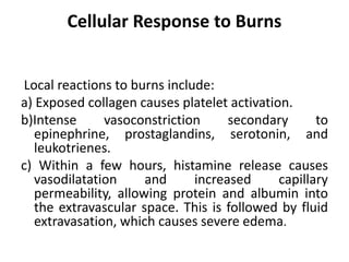 Burn and Burn Rehabilitation by Dr shyam sunder sharma | PPTX