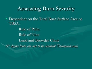 Burns | PPT