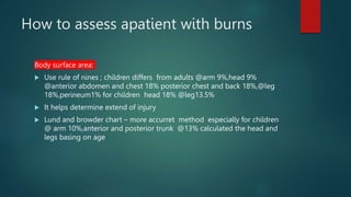 burns-1.pptx