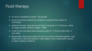 burns-1.pptx