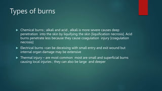 burns-1.pptx
