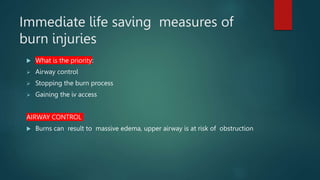 burns-1.pptx | Free Download