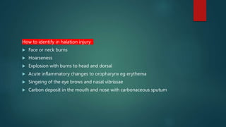 burns-1.pptx | Free Download