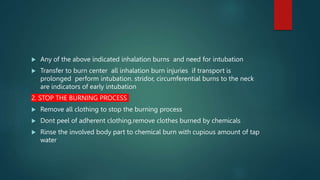 burns-1.pptx | Free Download
