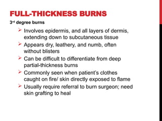 Burns powerpoint presentation on burn classification | PPTX