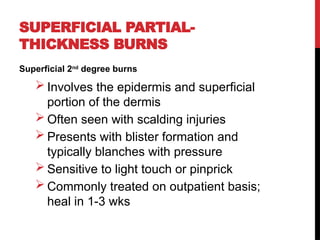 Burns powerpoint presentation on burn classification | PPT