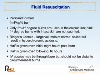 Burns | PPT