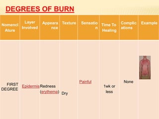 Burns | PPTX