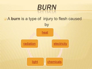 Burns | PPTX