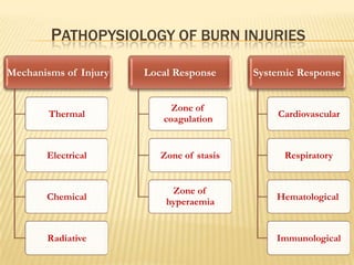 Burns | PPTX