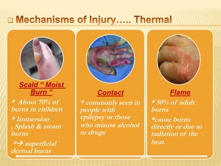 Burns | PPTX | First Aid | Injuries