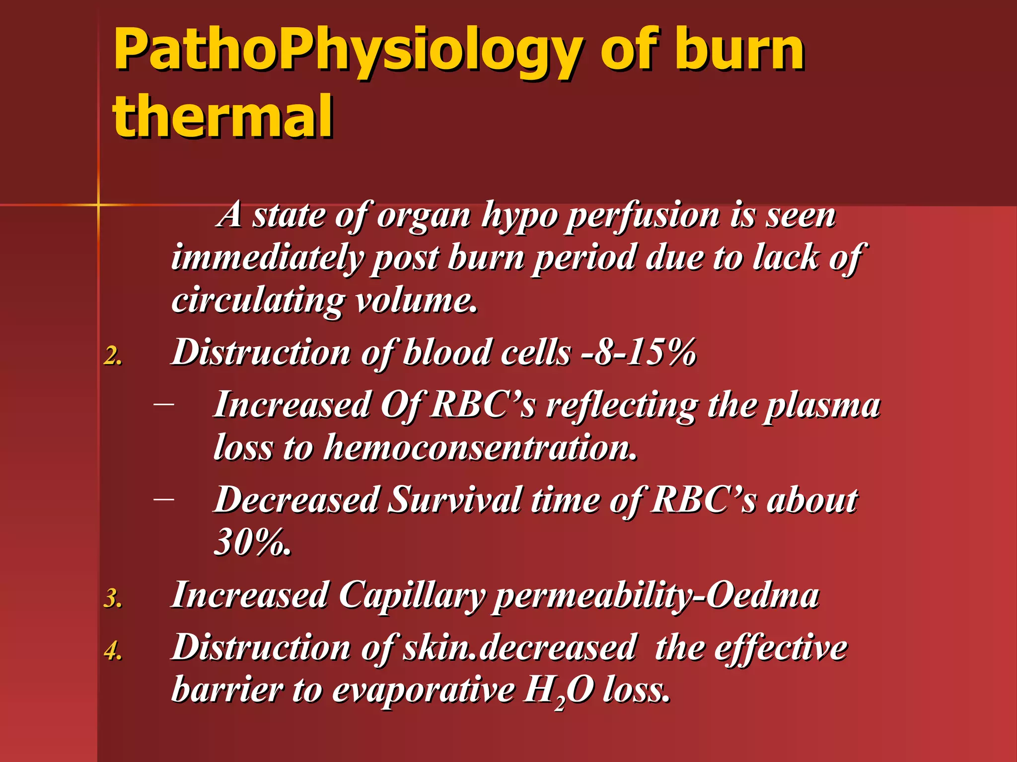 Burns | PPT