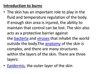 Burns | PPTX