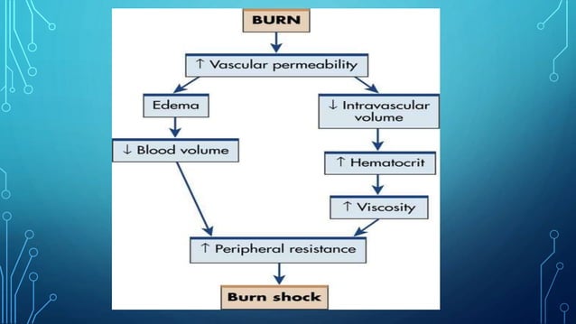 Burns | PPTX | Skin and Dermatology | Diseases and Conditions
